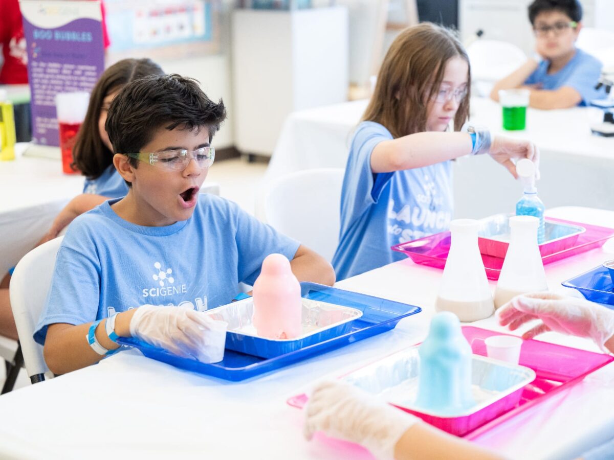 STEM Summer Camps In NOVA (Northern Virginia) – SciGenie